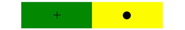 Visual Blind Spot Test | LASIK of Nevada